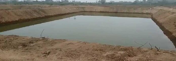 Fish Farming Business plan | New start-up - For beginners