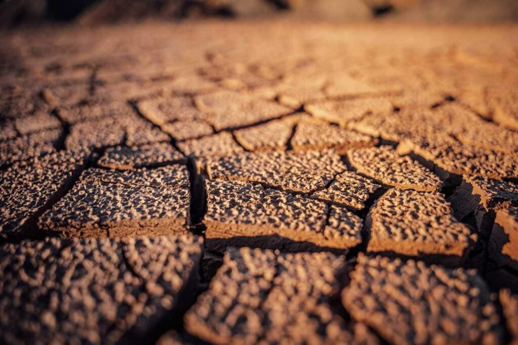 Black Soil Black Soils Fertility Best Soil Management