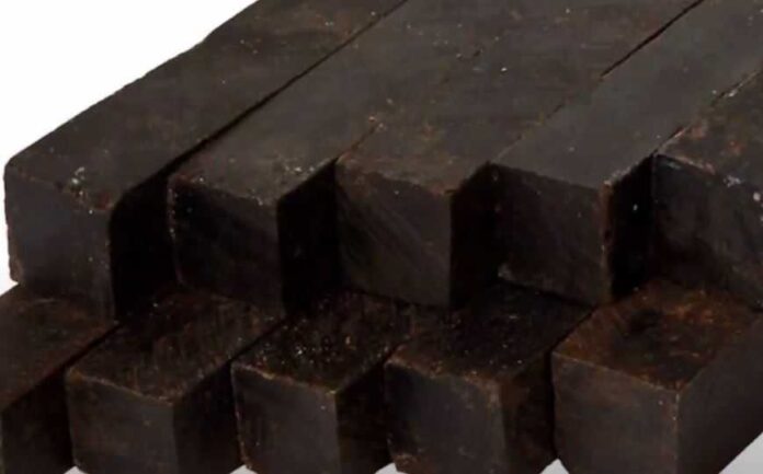 EBONY TREE, Worth a million dollars $ Ebony Plant | 12 facts