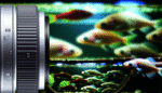 Murrel Fish Farming: Opportunities In Sustainable Aquaculture - Agrownets
